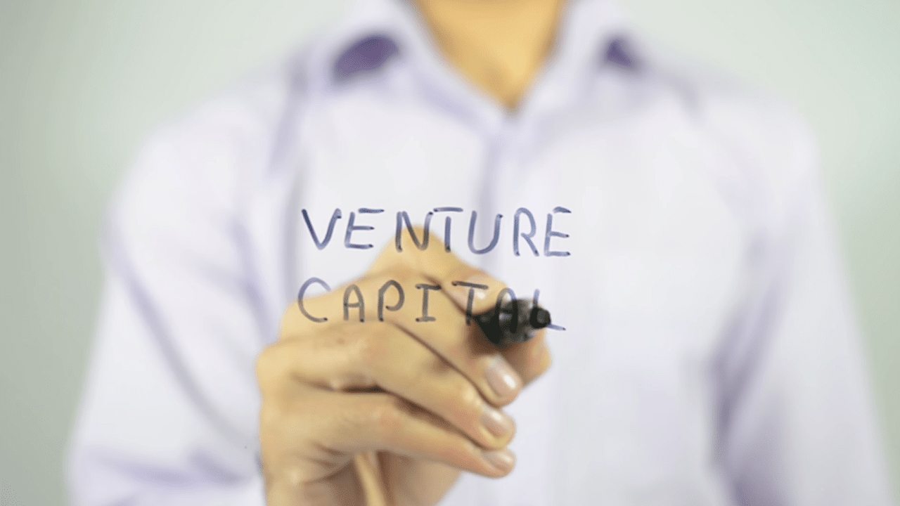 VC vs. PE: Understanding the Crucial Differences | Crystal Capital Partners